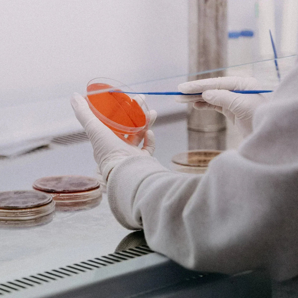A Negative UTI Test: What Testing Methods for Urinary Tract Infections ...